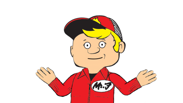 Mr. Fireplace - Your Gas, Wood, Pellet and Electric Fireplace Provider